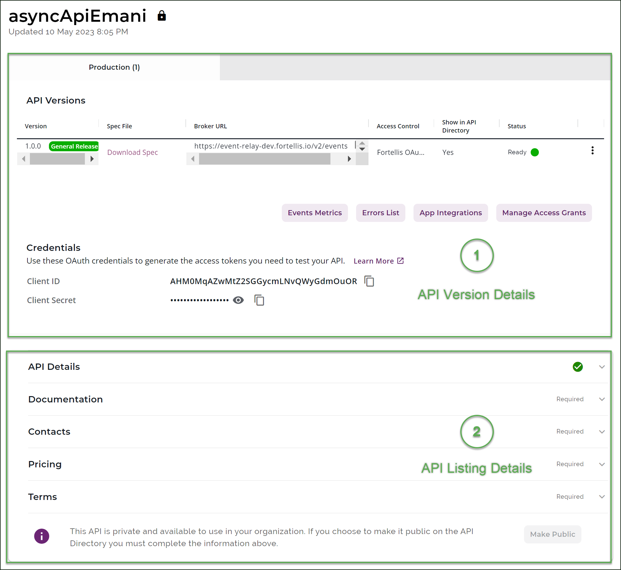 The API Version Details Section